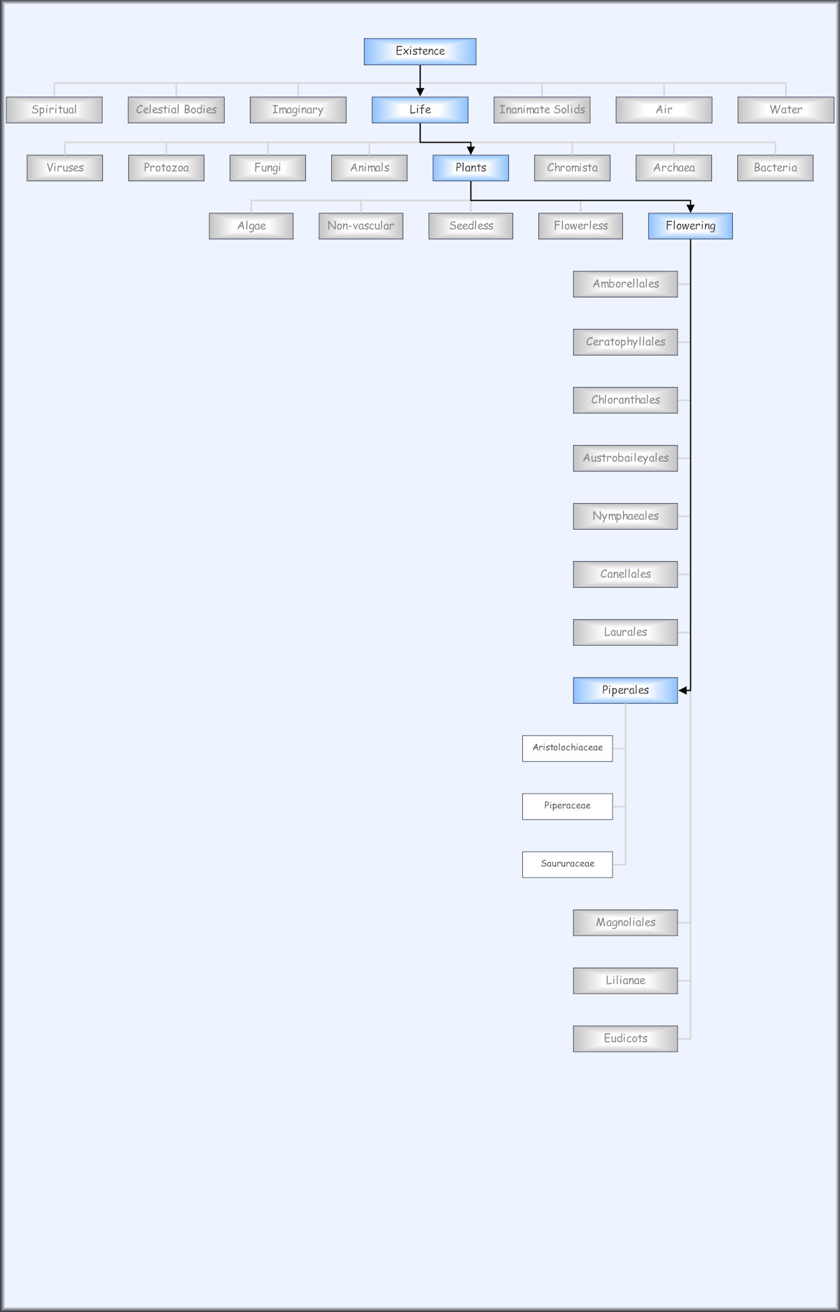 Diagram of Cladogram (family tree).