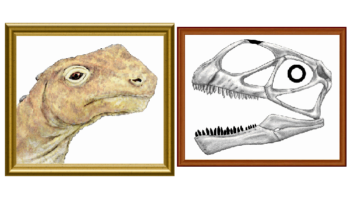 Images and collectibles of living & extinct animals