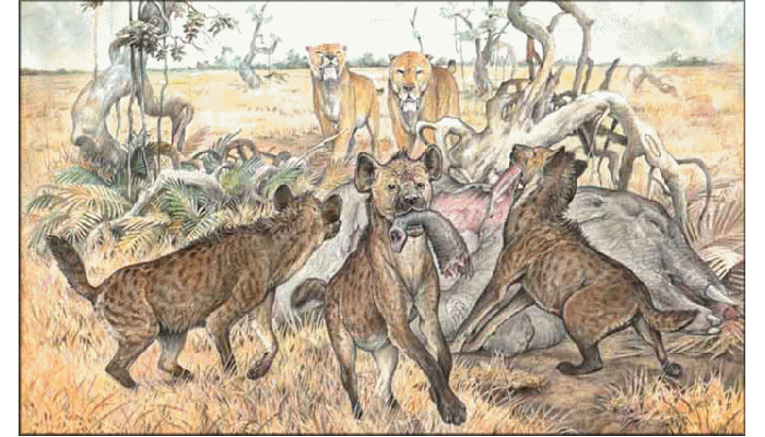 Dinosaurs|Extinct Life|Extinction|Prehistoric Animals|The Dinosaur Fan