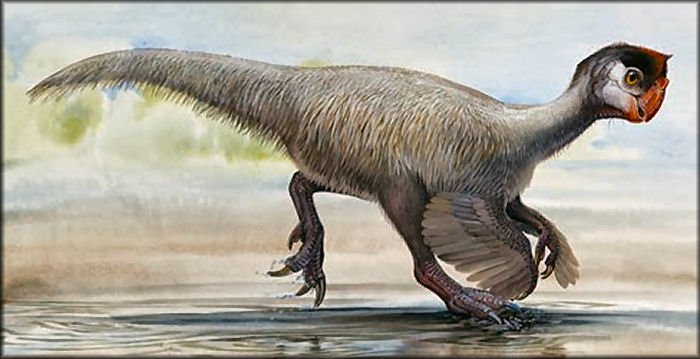 Dinosaurs|Extinct Life|Extinction|Prehistoric Animals|The Dinosaur Fan