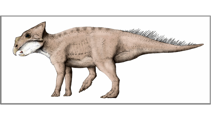 Dinosaurs|Extinct Life|Extinction|Prehistoric Animals|The Dinosaur Fan