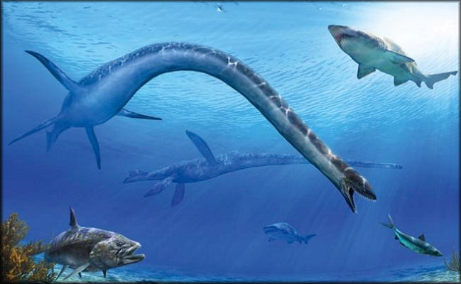 Images and collectibles of living & extinct animals