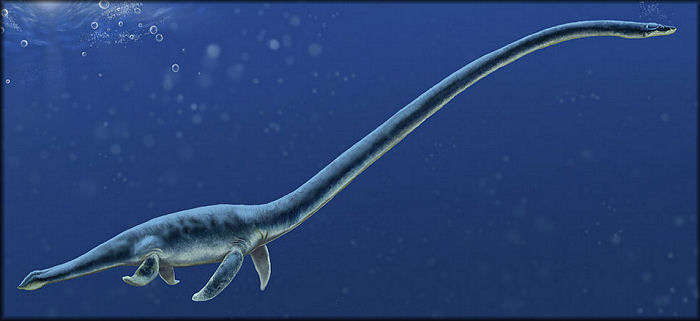 Images and collectibles of living & extinct animals