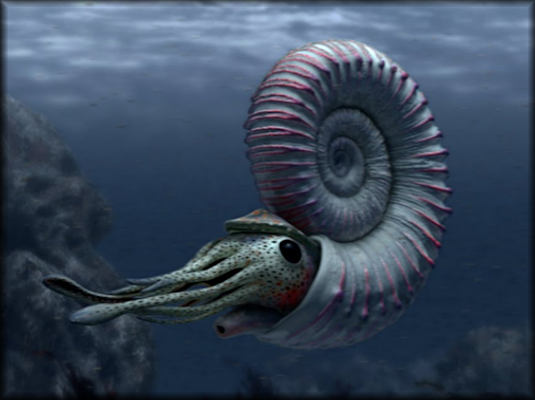 Images and collectibles of living & extinct animals