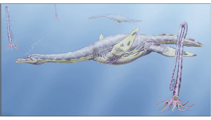 Images and collectibles of living & extinct animals