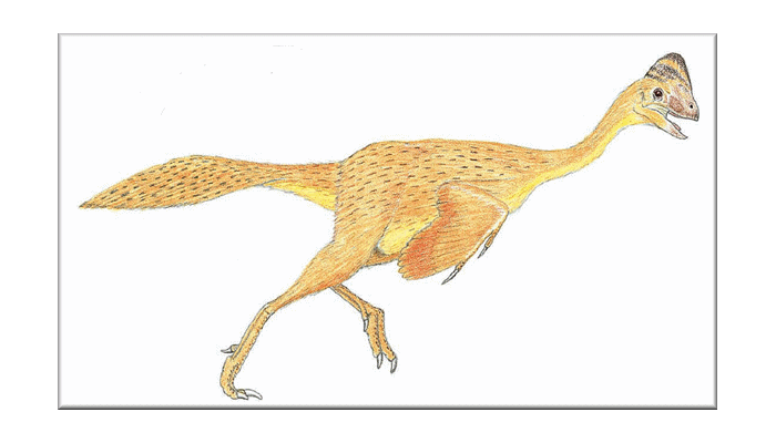 Dinosaurs|Extinct Life|Extinction|Prehistoric Animals|The Dinosaur Fan