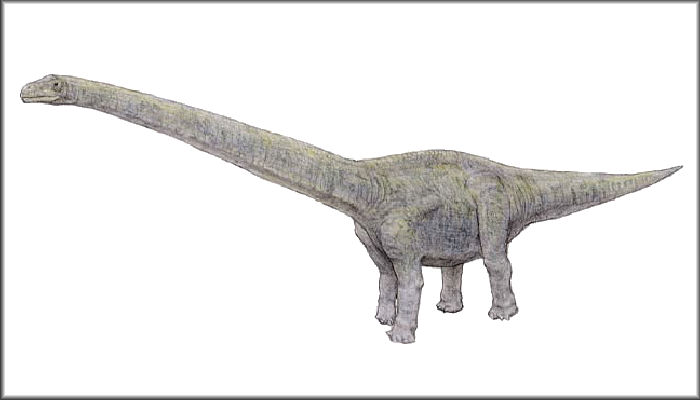 Images and collectibles of living & extinct animals