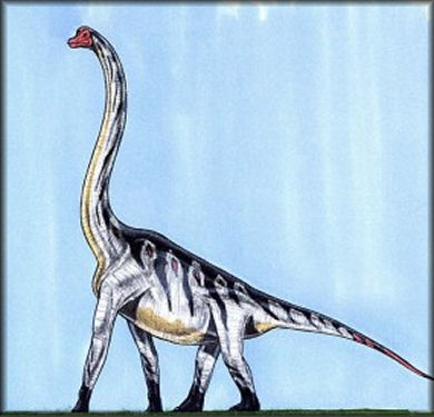 Images and collectibles of living & extinct animals