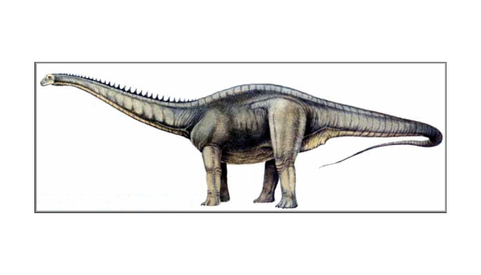 Selected images of all that exists