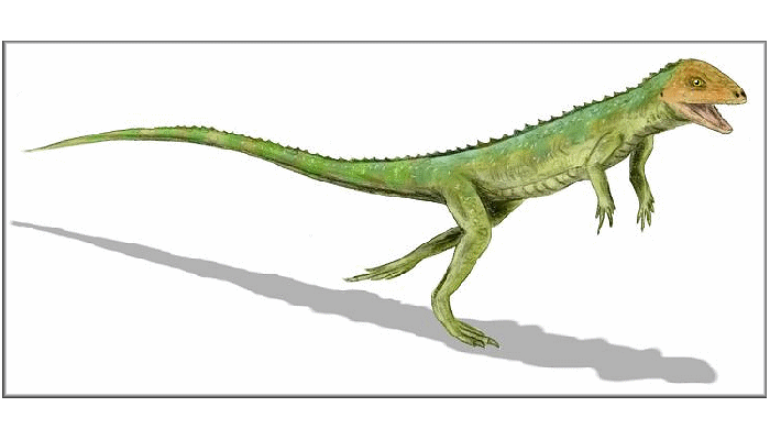 Dinosaurs|Extinct Life|Extinction|Prehistoric Animals|The Dinosaur Fan