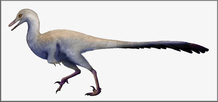 Images and collectibles of living & extinct animals