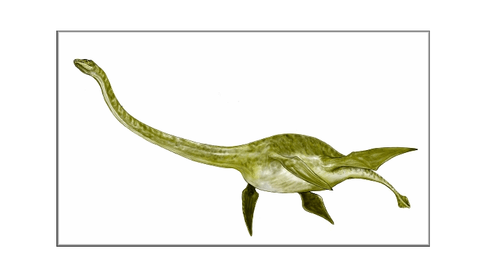 Images and collectibles of living & extinct animals