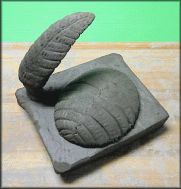 Dinosaurs|Extinct Life|Extinction|Prehistoric Animals|The Dinosaur Fan