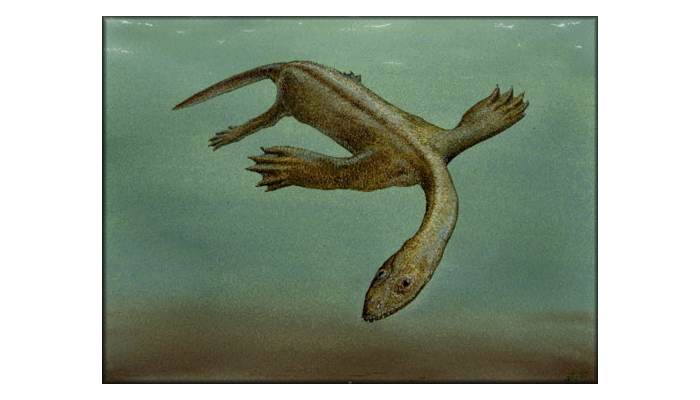 Images and collectibles of living & extinct animals