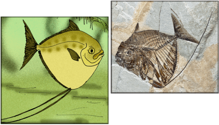 Dinosaurs|Extinct Life|Extinction|Prehistoric Animals|The Dinosaur Fan