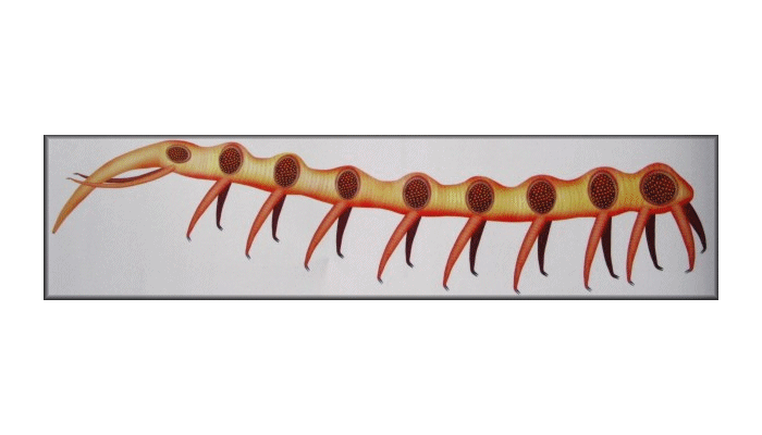 Dinosaurs|Extinct Life|Extinction|Prehistoric Animals|The Dinosaur Fan