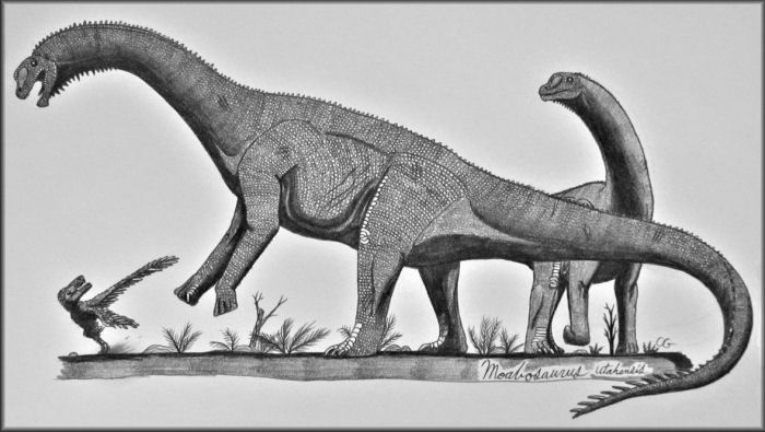 Images and collectibles of living & extinct animals