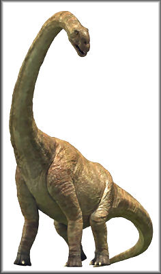 Images and collectibles of living & extinct animals