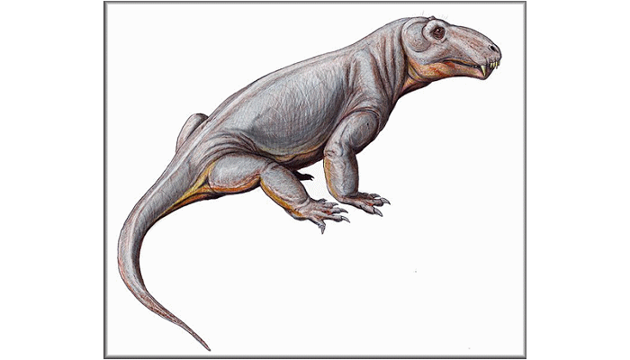 Dinosaurs|Extinct Life|Extinction|Prehistoric Animals|The Dinosaur Fan