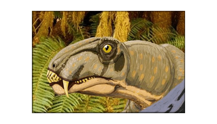 Dinosaurs|Extinct Life|Extinction|Prehistoric Animals|The Dinosaur Fan