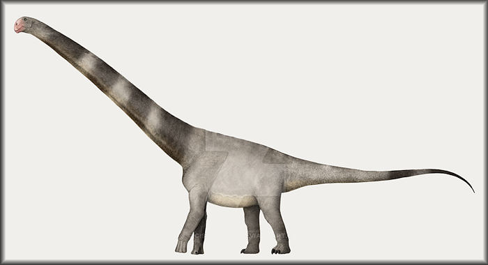 Images and collectibles of living & extinct animals