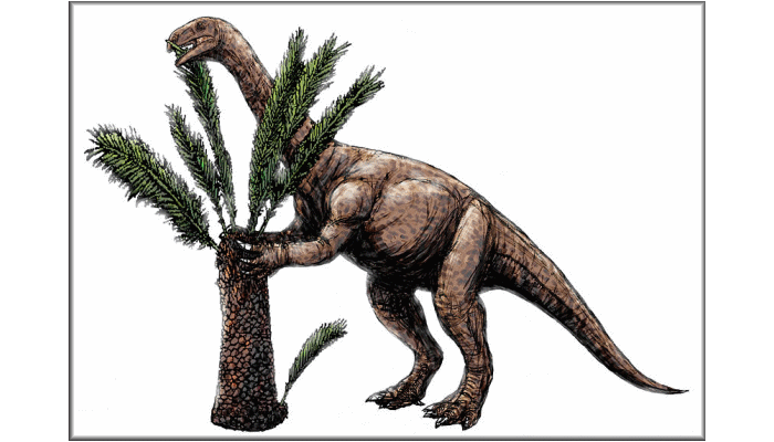 Images and collectibles of living & extinct animals