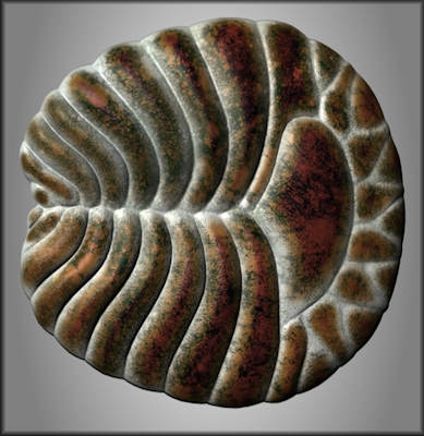 Selected images of all that exists