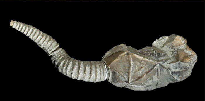 Selected images of all that exists