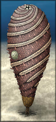 Selected images of all that exists