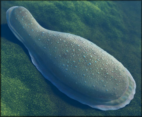 Selected images of all that exists