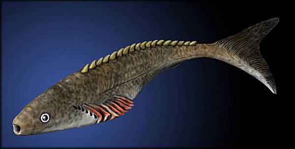 Selected images of all that exists