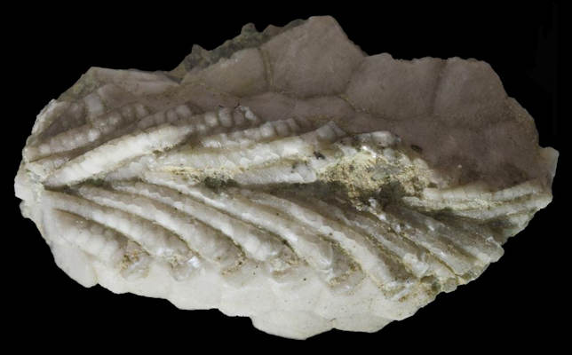 Selected images of all that exists