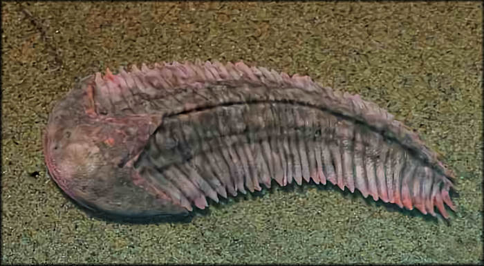 Selected images of all that exists