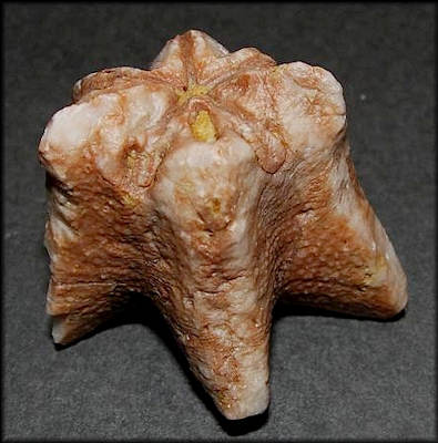 Selected images of all that exists