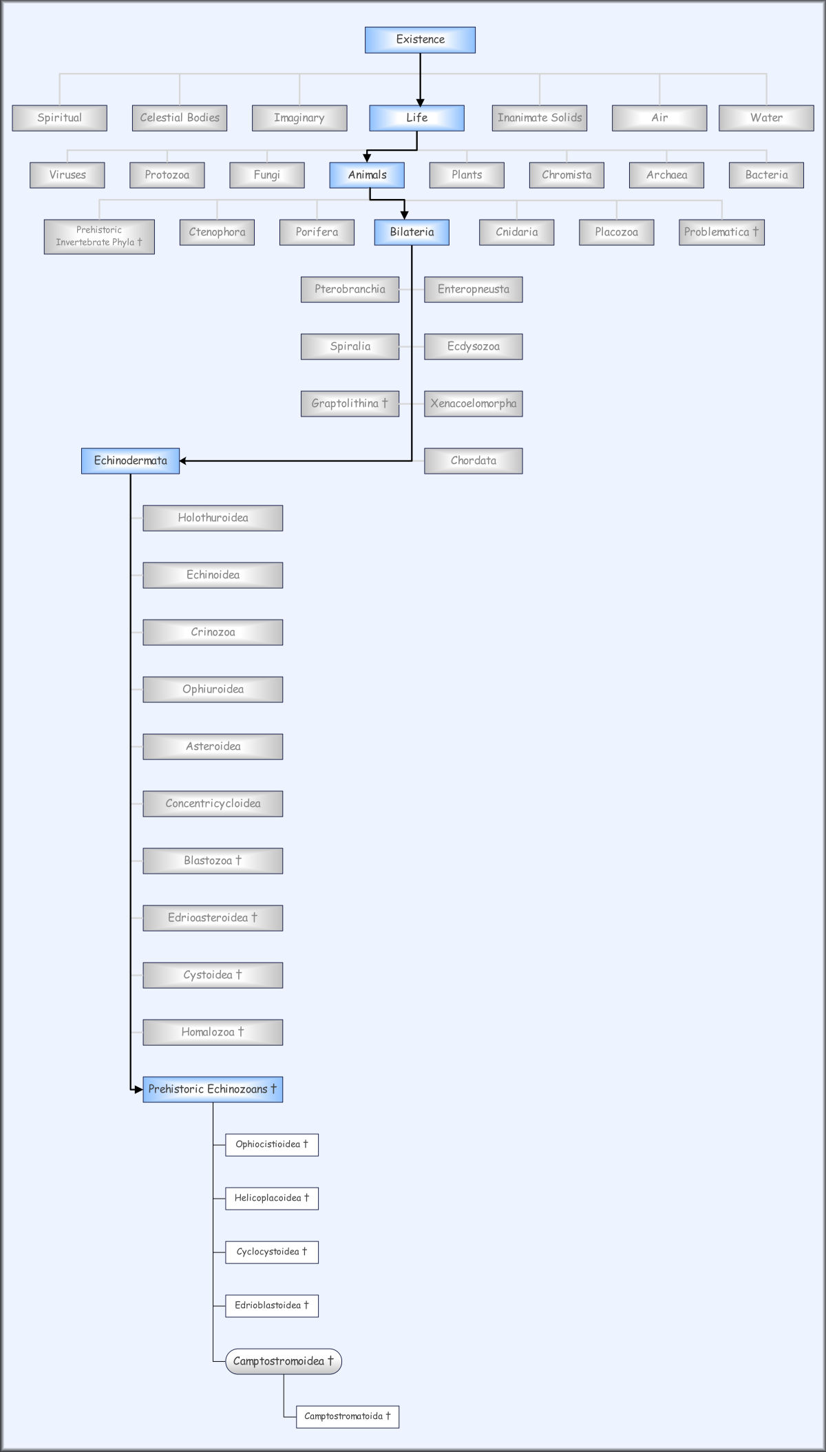 Diagram of Cladogram (family tree).
